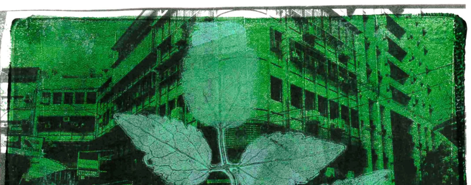 Cyanotype & Monotype | Grand Orly Seine Bievre